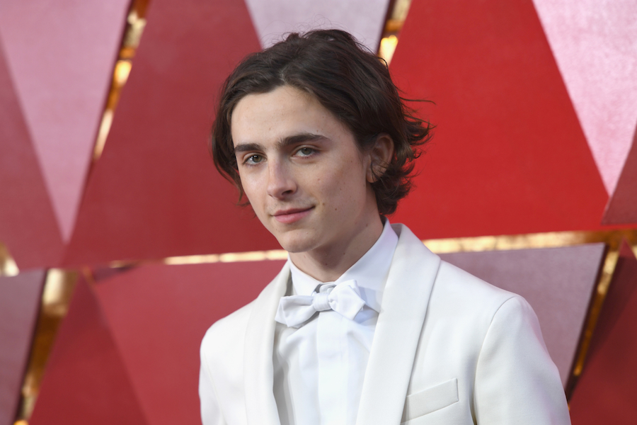 4 Things You Should Know About Timothée Chalamet! - Young Hollywood